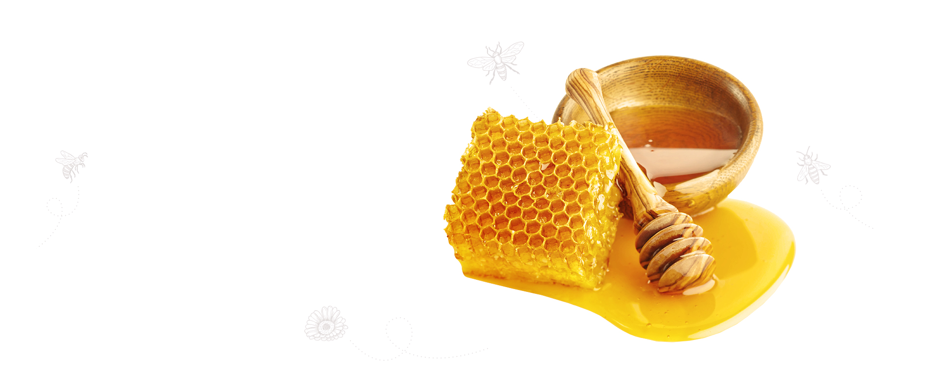 Nacionalni servis pcelara, baza pčelara, prodaja meda, domaći med,